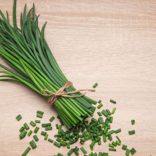Ciboulette - Aux Délices du Palais｜Expert en herbes, épices et saveurs