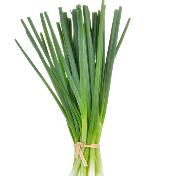 Ciboulette - Aux Délices du Palais｜Expert en herbes, épices et saveurs