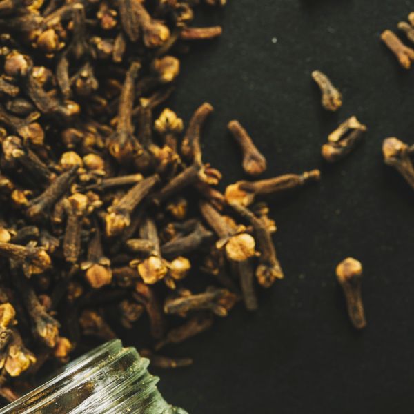Girofle - Aux Délices du Palais｜Expert en herbes, épices et saveurs