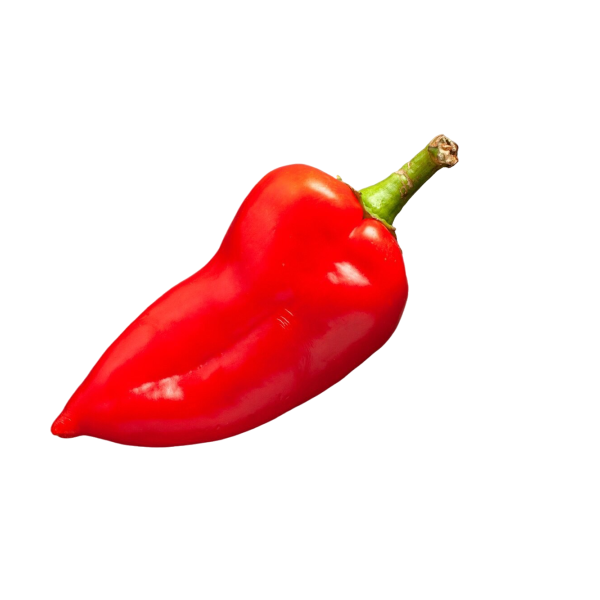 Piment fort - Aux Délices du Palais｜Expert en herbes, épices et saveurs