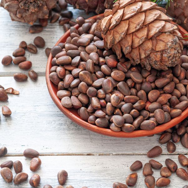 Pignons de pin - Aux Délices du Palais｜Expert en herbes, épices et saveurs